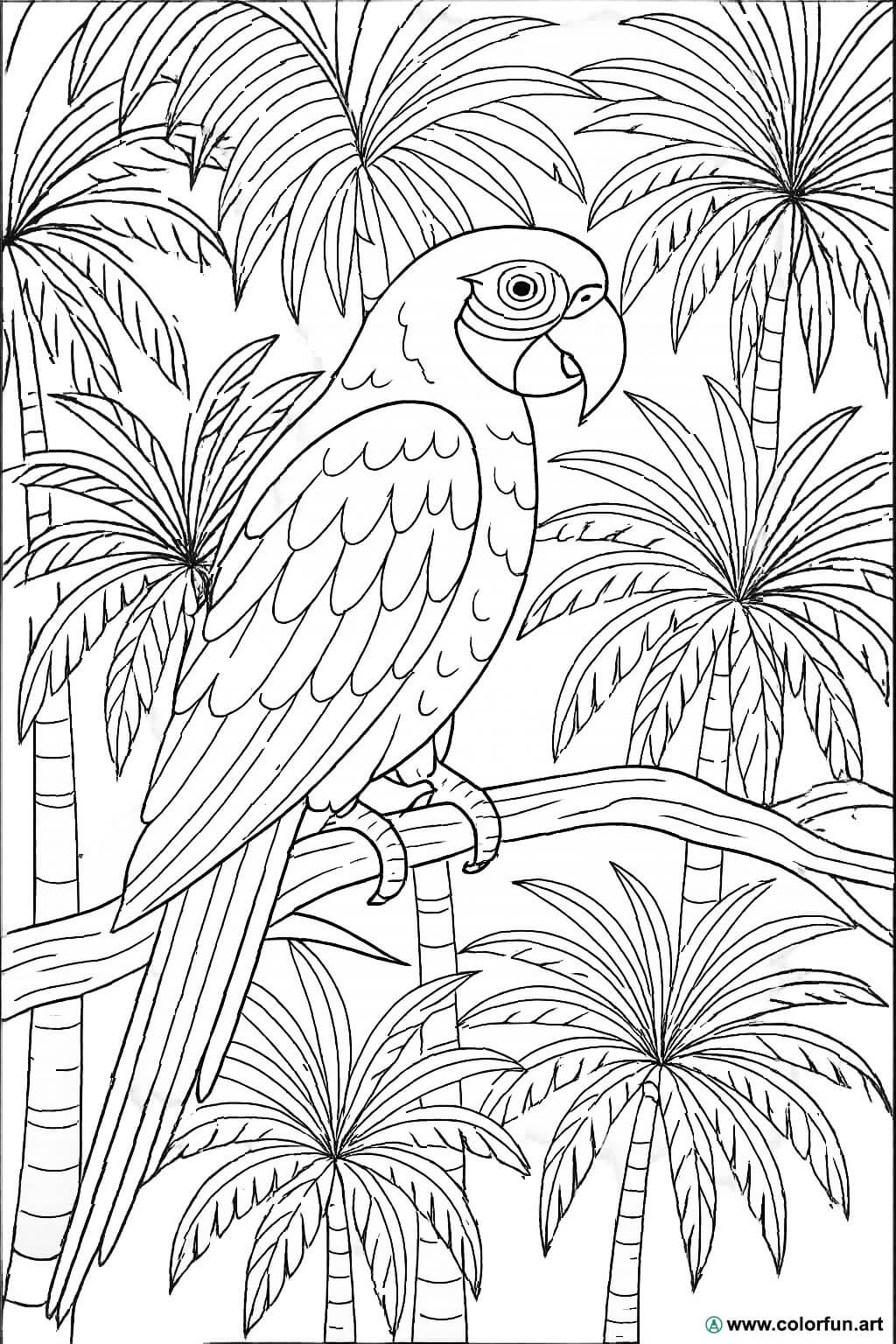 Dibujo para colorear del loro y las palmeras Descargar o Imprimir de ...