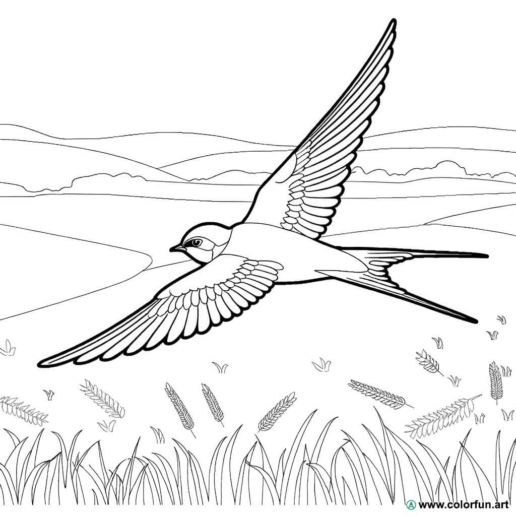 Coloring page of the swallow in flight Download or Print for free