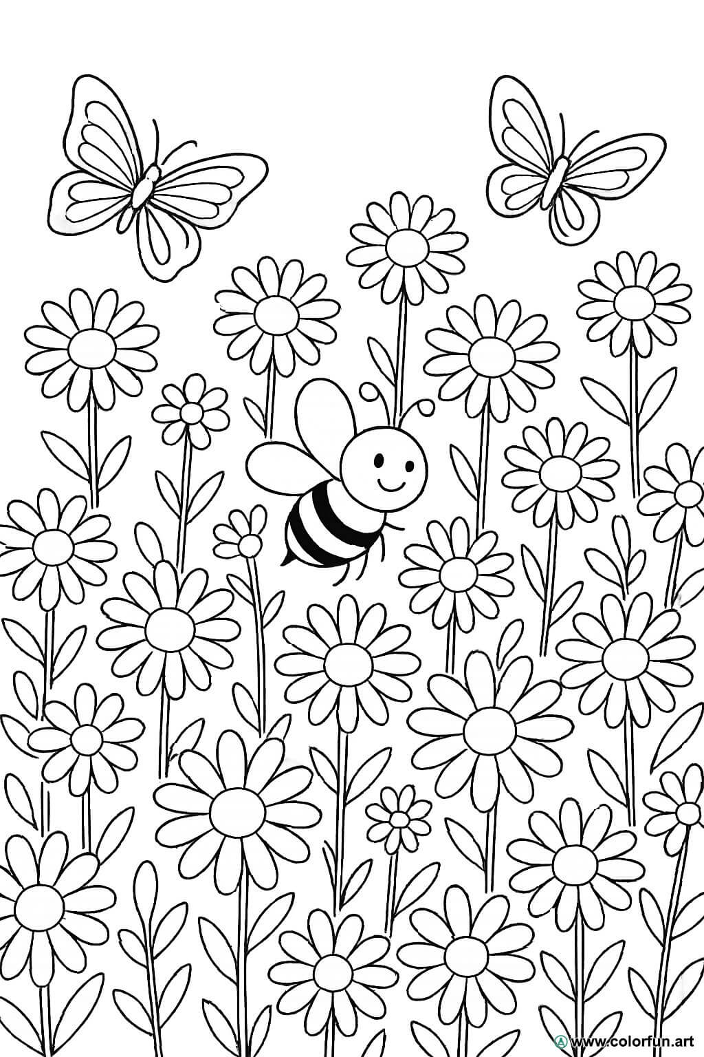 Coloriage de fleurs : marguerites à Télécharger ou à Imprimer gratuitement