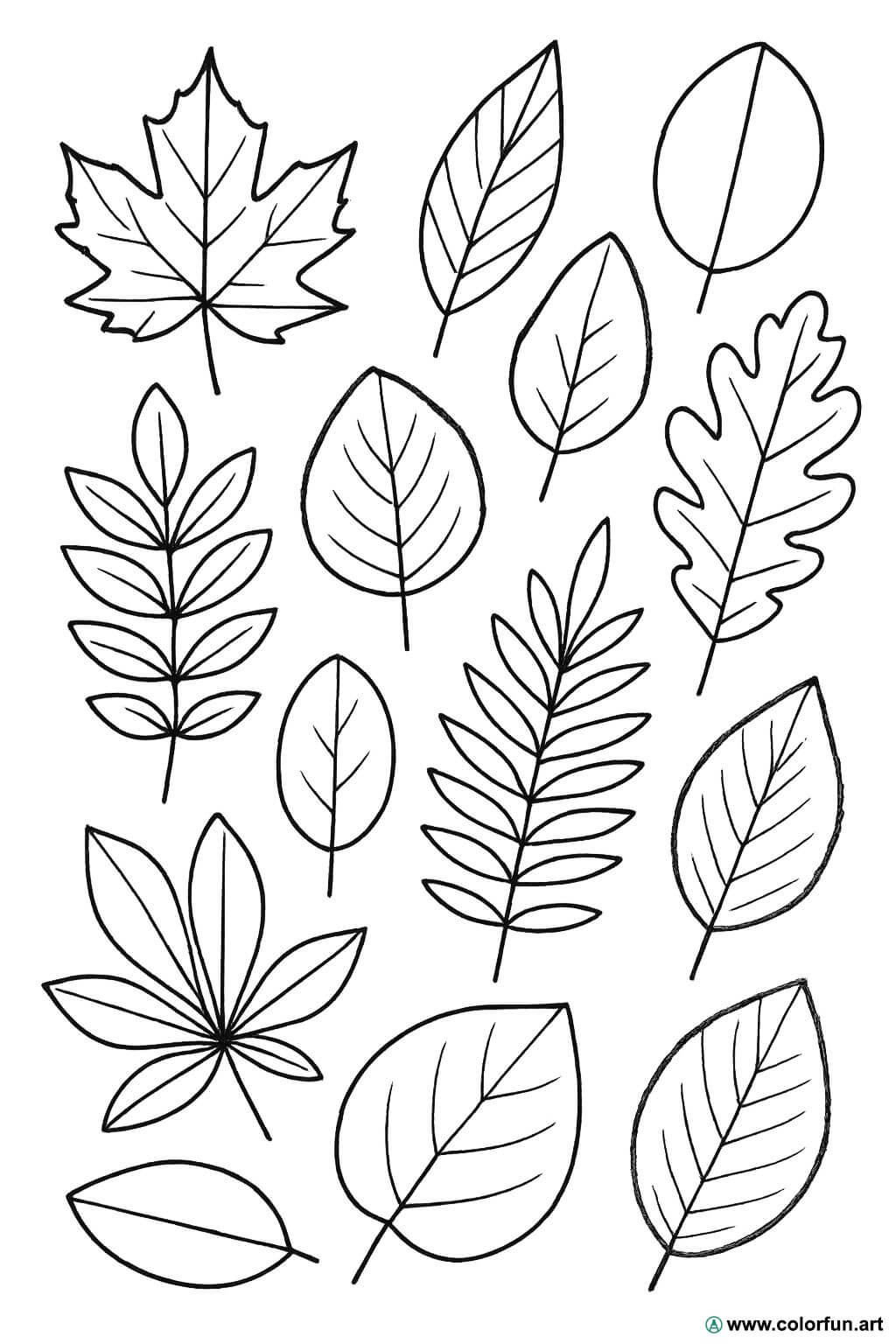 Feuilles à Colorier