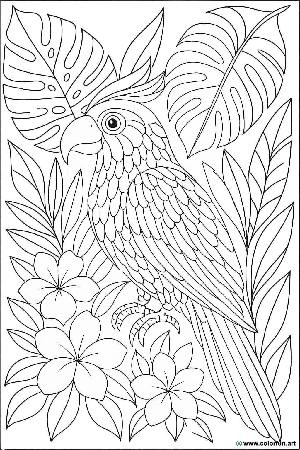 Coloring page of a vibrant exotic bird Download or Print for free