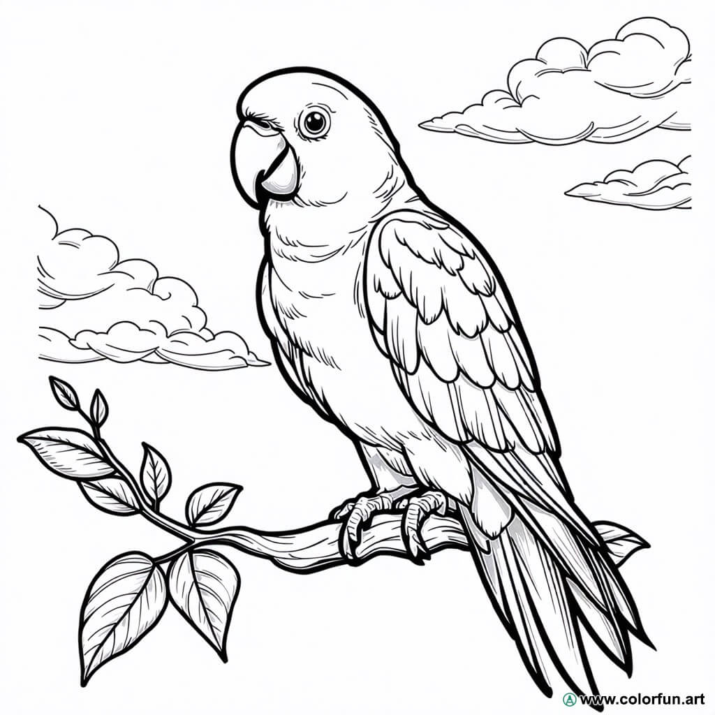 Realistic parrot coloring page Download or Print for free