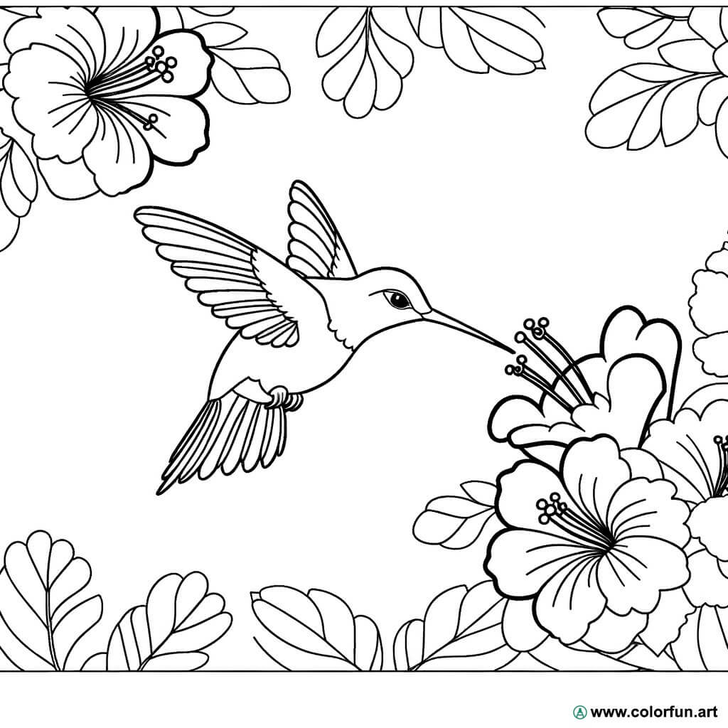 Dibujo para colorear de un colibrí entre flores Descargar o Imprimir de ...