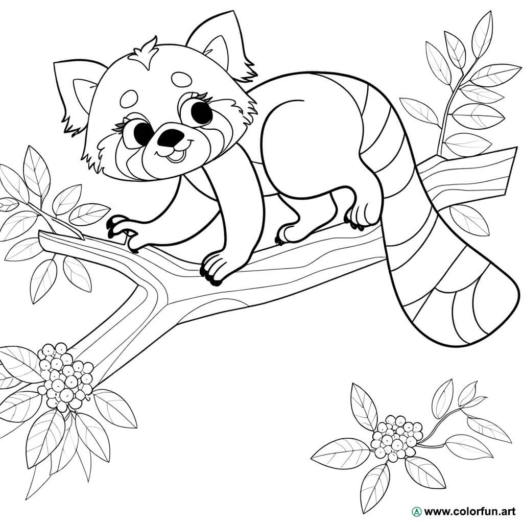 Coloriage amusant de panda roux à Télécharger ou à Imprimer gratuitement
