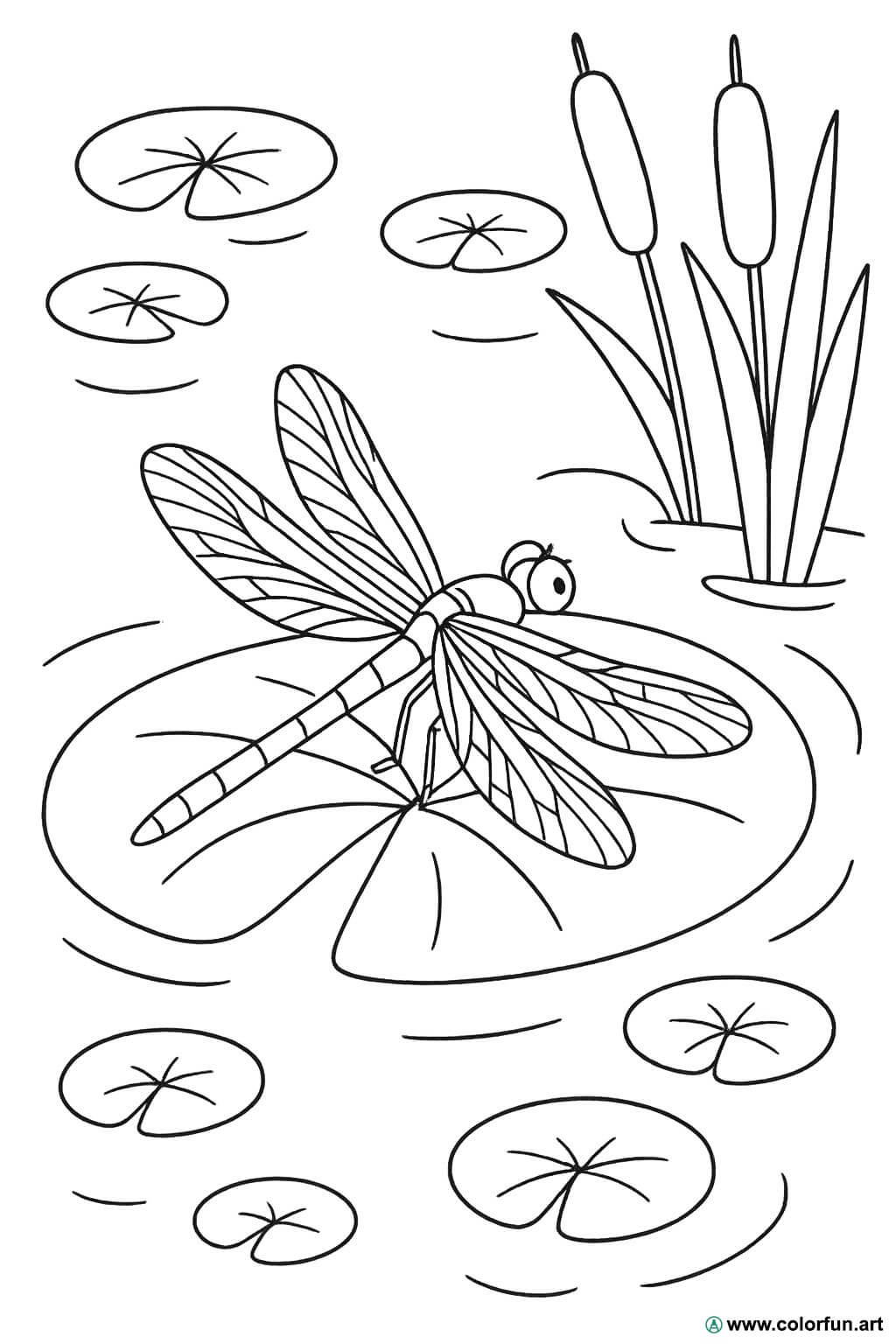 Dibujo para colorear de libélula acuática Descargar o Imprimir de forma ...
