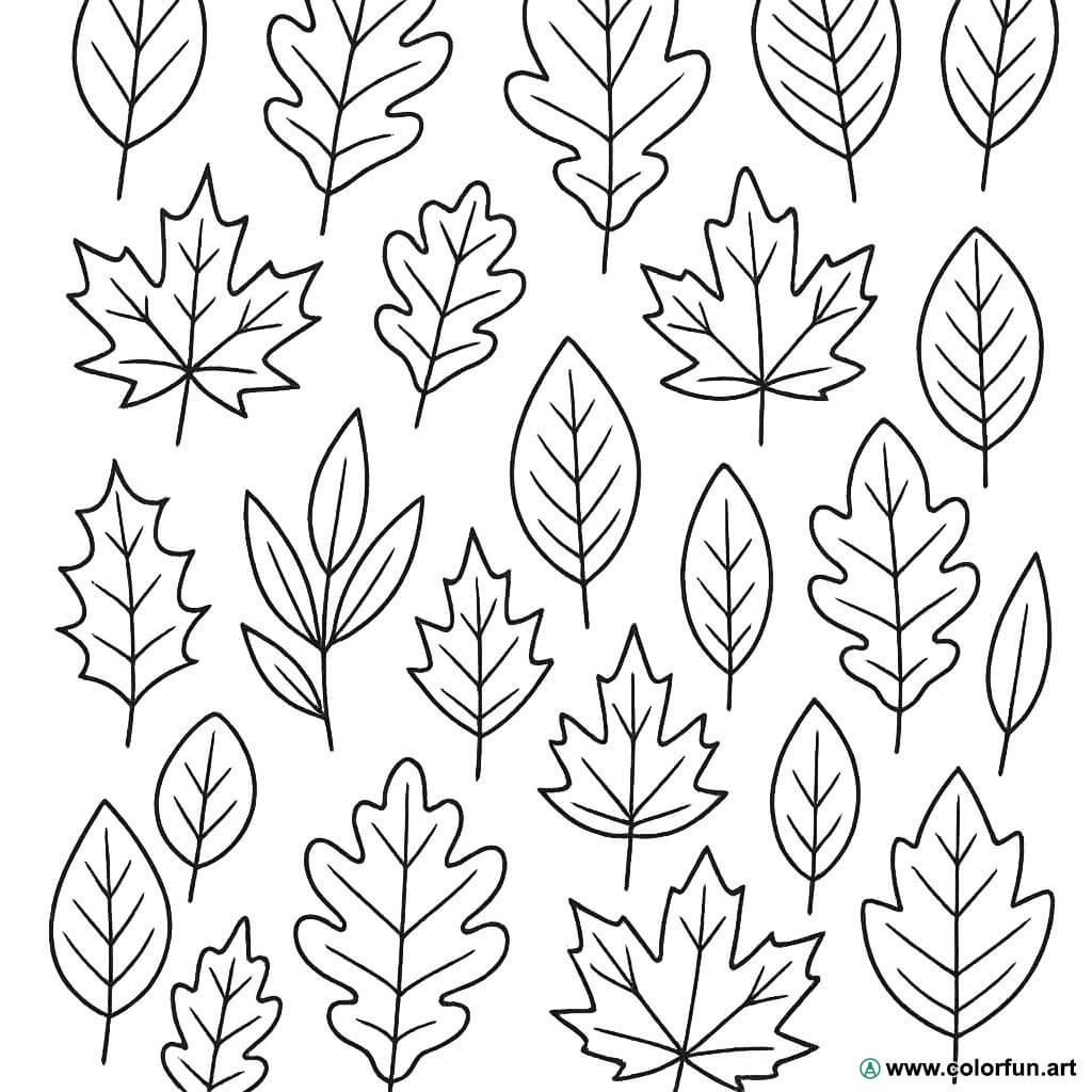 Easy coloring page of tree leaves Download or Print for free