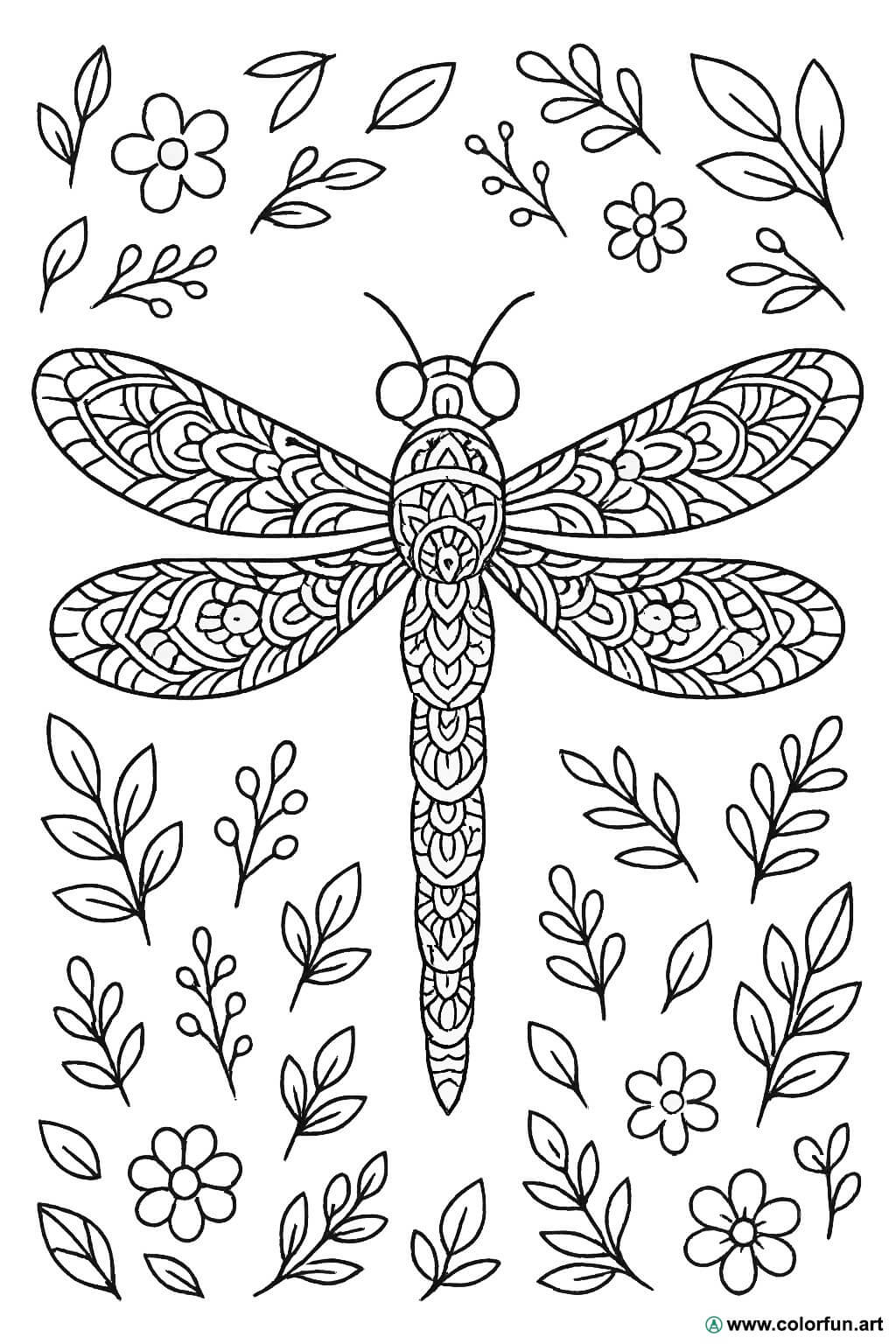 Dragonfly mandala coloring page Download or Print for free