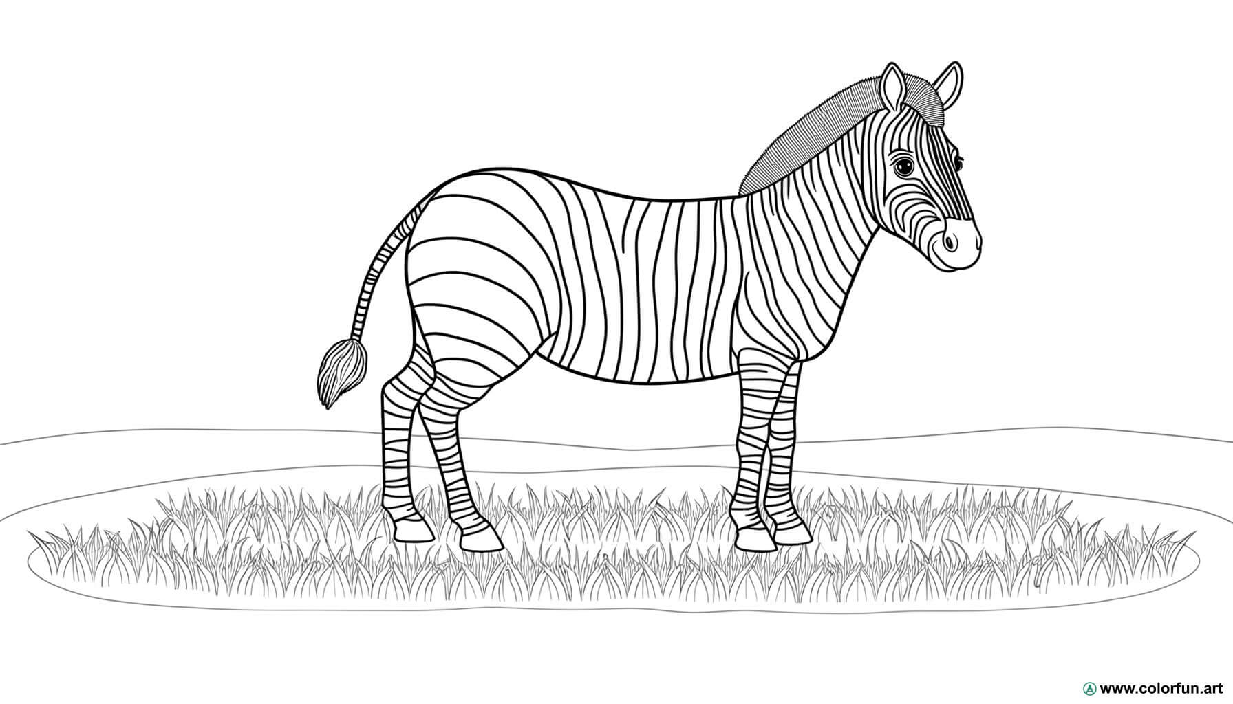 Realistic zebra coloring page Download or Print for free