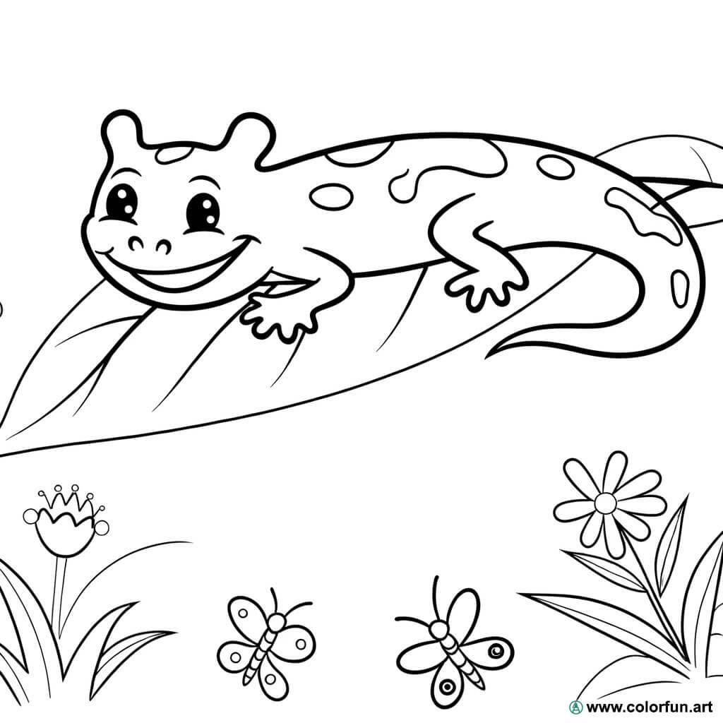 Easy salamander coloring page Download or Print for free