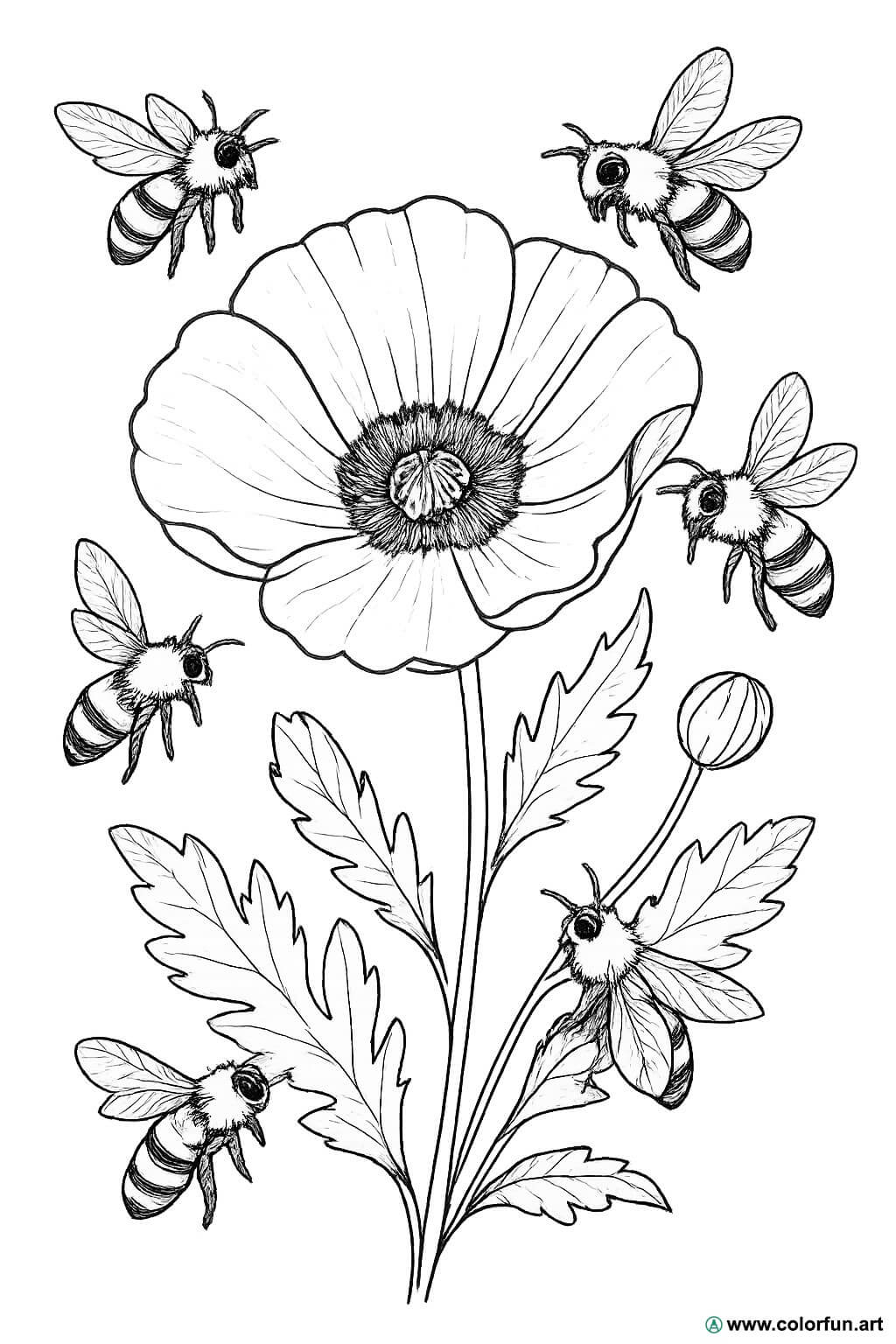 Coloriage du coquelicot et des abeilles à Télécharger ou à Imprimer ...
