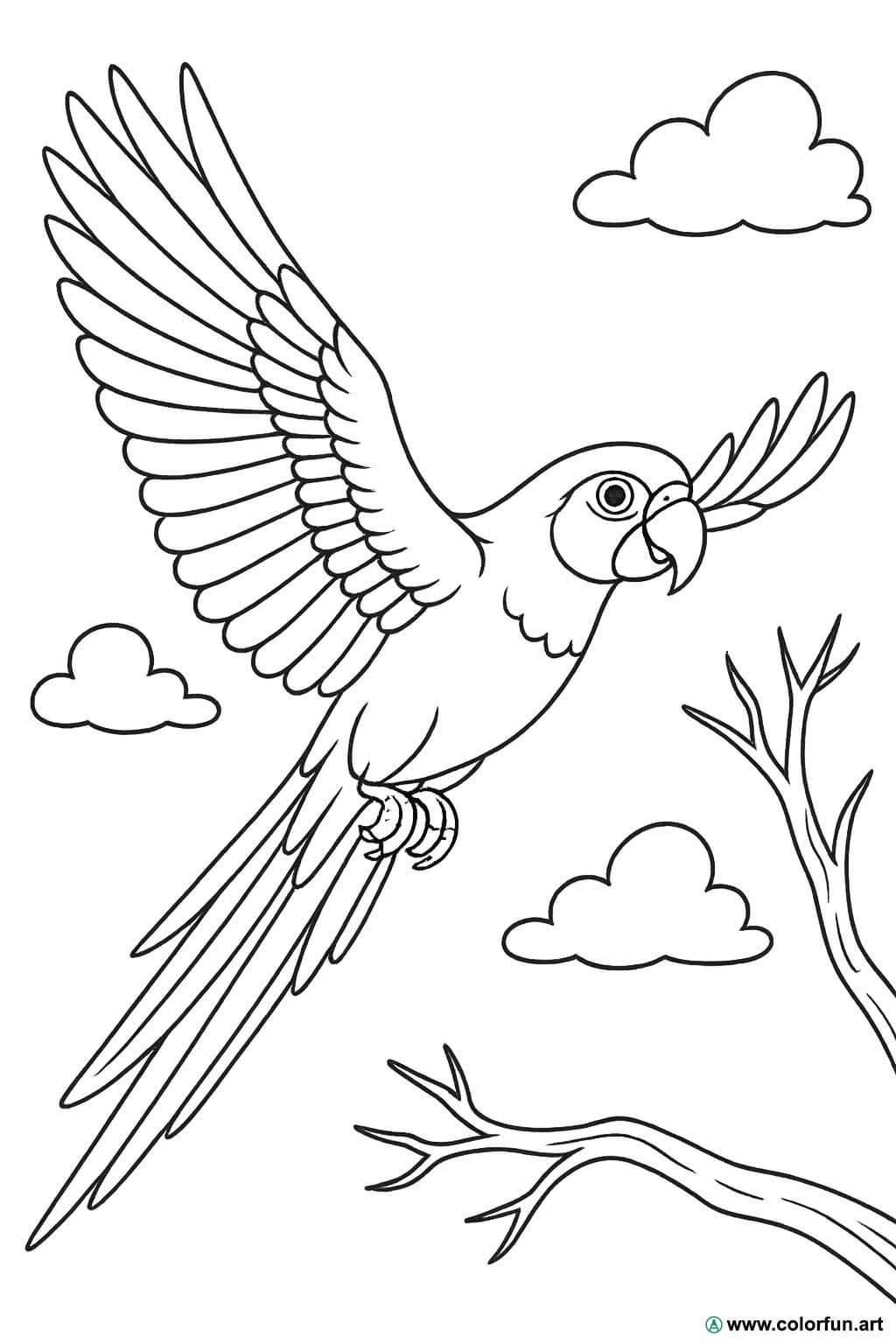 Dibujo para colorear del loro en vuelo Descargar o Imprimir de forma ...