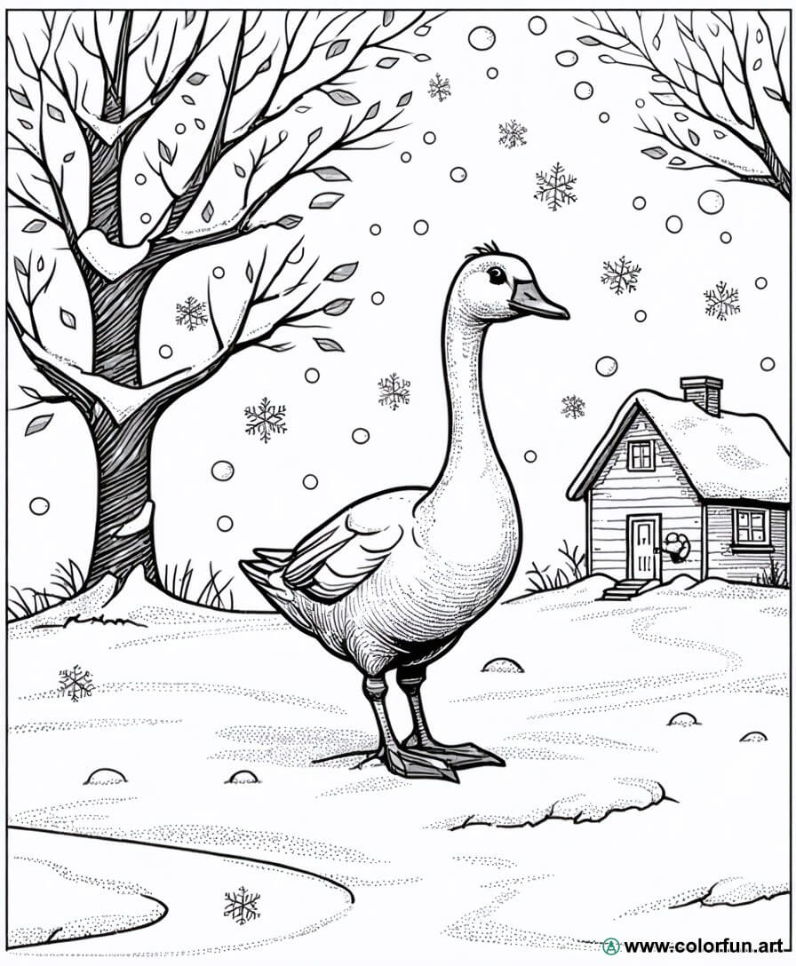 Winter goose coloring page Download or Print for free