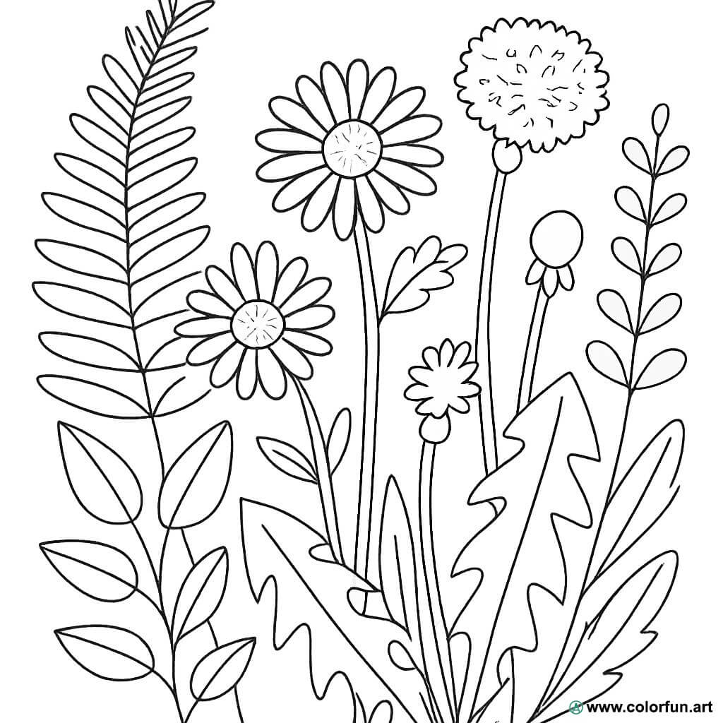 Dibujo para colorear de plantas salvajes Descargar o Imprimir de forma ...