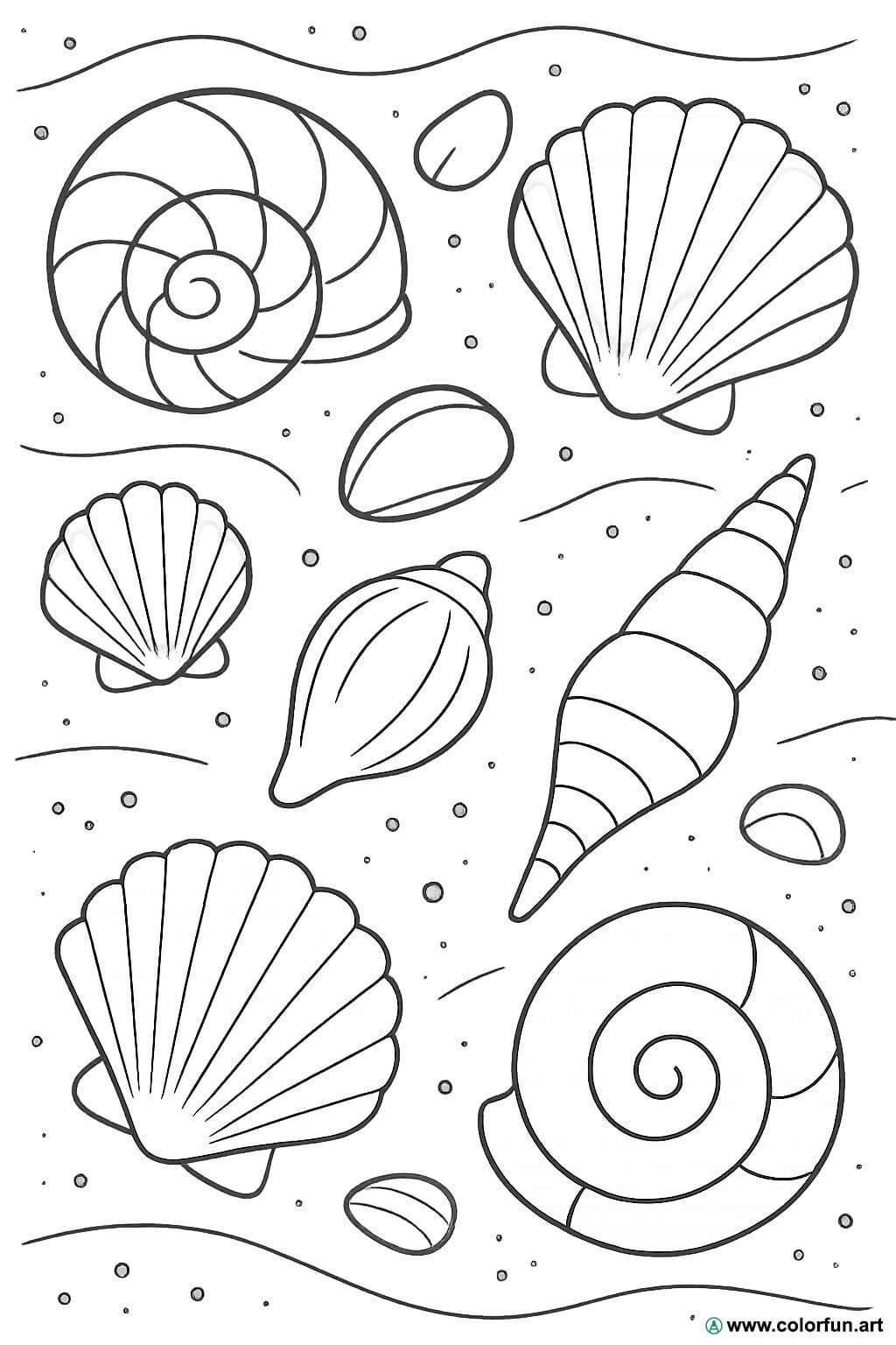 Coloriage de coquillage facile à réaliser à Télécharger ou à Imprimer ...