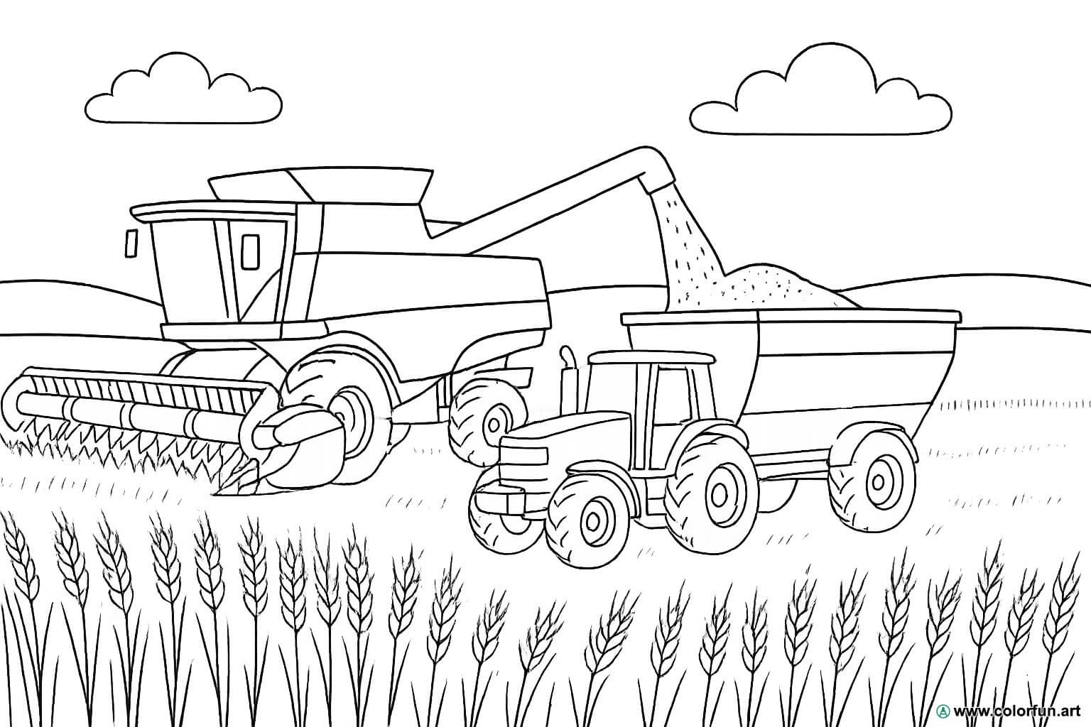 Combine harvester, tractor and trailer coloring page Download or Print ...