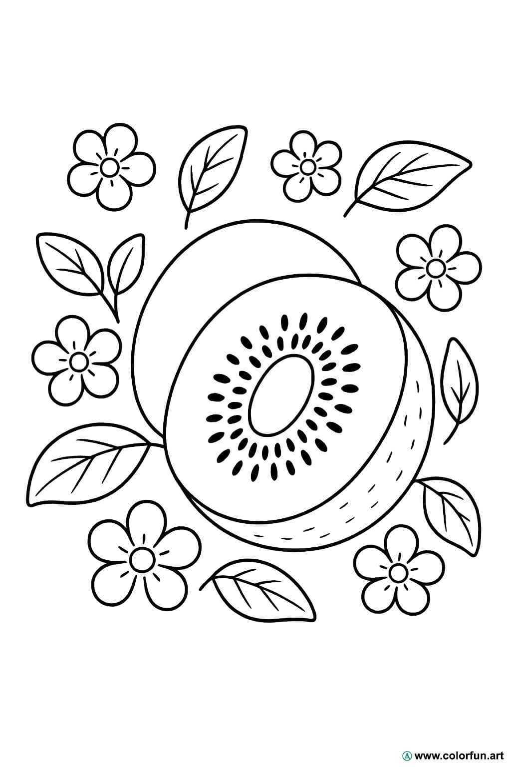 Fruit coloring page: the kiwi Download or Print for free