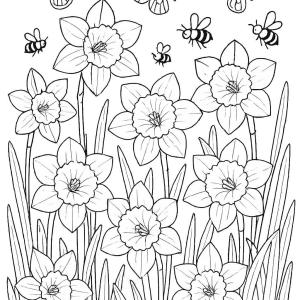 Planșă de colorat cu o narcisă în natură. Descărcați sau tipăriți gratuit