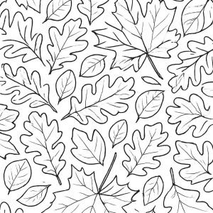 Ausmalbild im November Herbst Kostenloser Download oder Ausdruck verfügbar.