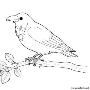12 Coloriages De Corbeaux - Coloriages Gratuits pour Enfants - ColorFun.fr