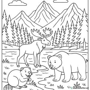 Canada map coloring page Download or Print for free