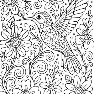 22 Coloriages De Colibris - Coloriages Gratuits pour Enfants - ColorFun.fr