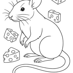 22 Coloriages De Rats - Coloriages Gratuits pour Enfants - ColorFun.fr
