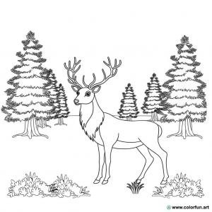 15 Coloriages D'animaux De La Forêt - Coloriages Gratuits pour Enfants ...