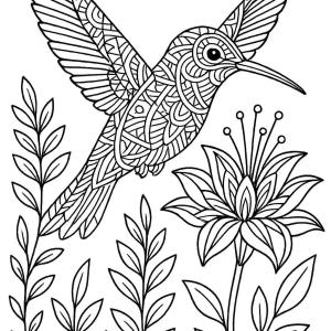 22 Coloriages De Colibris - Coloriages Gratuits pour Enfants - ColorFun.fr
