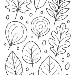 Realistic tree leaf coloring page Download or Print for free