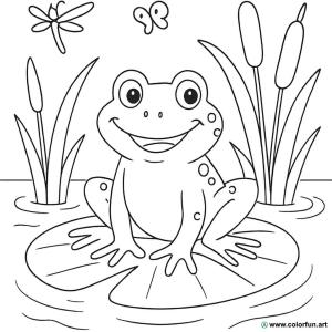 Dibujo para colorear creativo del sapo Descargar o Imprimir de forma ...