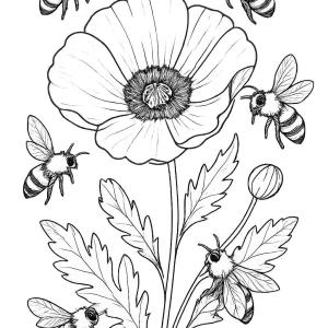 Coloriage facile de coquelicot à Télécharger ou à Imprimer gratuitement