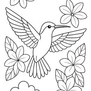 22 Coloriages De Colibris - Coloriages Gratuits pour Enfants - ColorFun.fr